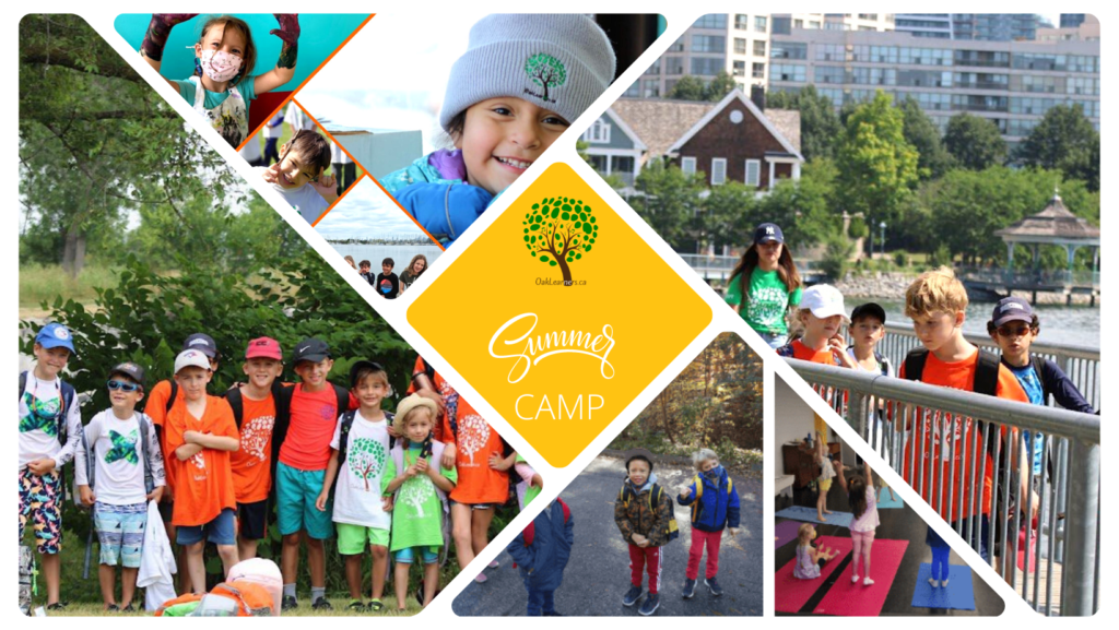How to Pick the Right Summer Camp for your Child - Oak Learners